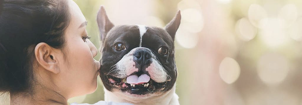 Family Tree Animal Clinic - Your Veterinarian in Milton